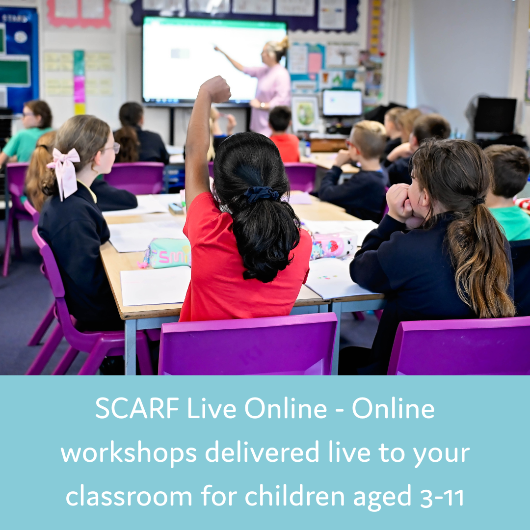 Interactive Workshops - in your school or delivered online